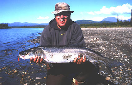 Alaska's North Slope