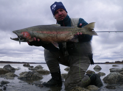 30 Inch Rainbow Trout
