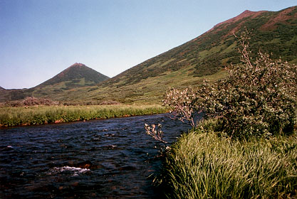 Karluk River, Kodiak Island, Alaska