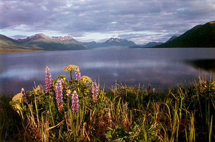 Karluk River, Kodiak Island, Alaska