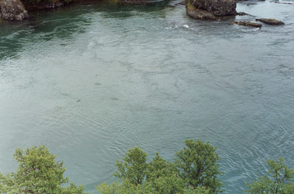 Alaska's Newhalen River