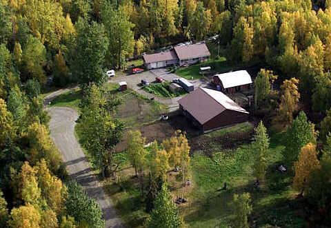 The Horse-Drawn Carriage Company : - Slide Show